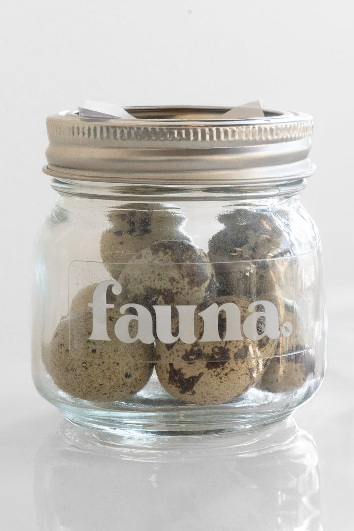 Freeze-Dried Quail Eggs – Fauna Pet Market